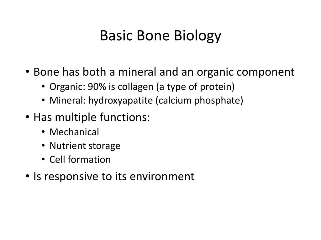 PPT - Osteology: The study of bone Anatomical Terminology and Basic ...
