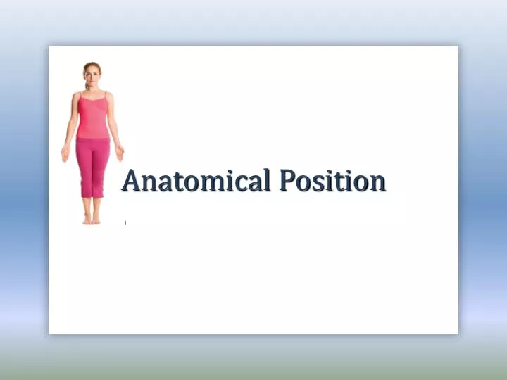 PPT - Anatomical Position PowerPoint Presentation, free download - ID ...