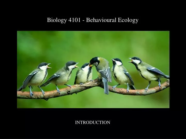 PPT - Biology 4101 - Behavioural Ecology PowerPoint Presentation, free ...