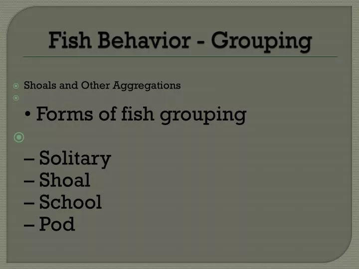 PPT - Fish Behavior - Grouping PowerPoint Presentation, free download ...