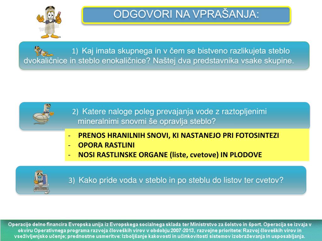 PPT - RASTLINSKI ORGANI korenina, steblo, list PowerPoint Presentation ...