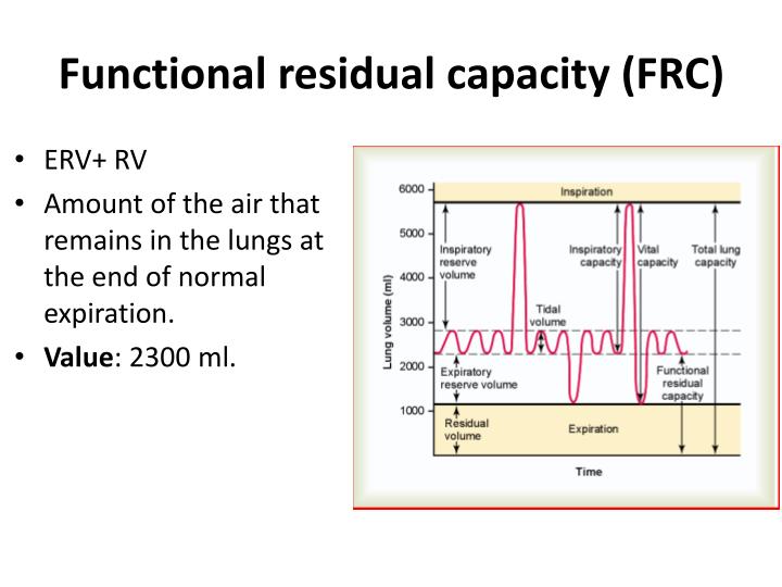 PPT - Lung volumes & Lung Capacities PowerPoint Presentation - ID:2352295
