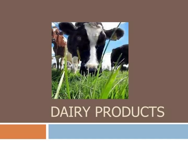PPT - Dairy Products PowerPoint Presentation, free download - ID:2352328