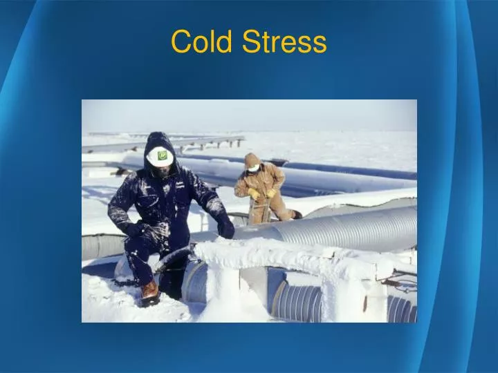 PPT - Cold Stress PowerPoint Presentation, free download - ID:2352484