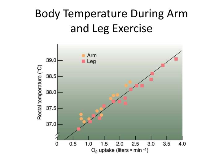 PPT - Temperature Regulation PowerPoint Presentation - ID:2352527