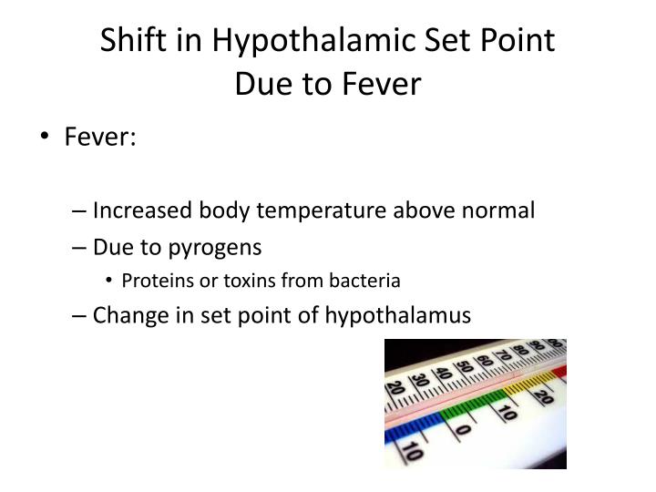 PPT - Temperature Regulation PowerPoint Presentation - ID:2352527