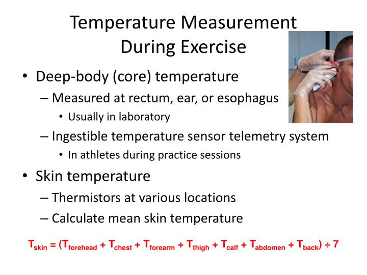 PPT - Temperature Regulation PowerPoint Presentation - ID:2352527