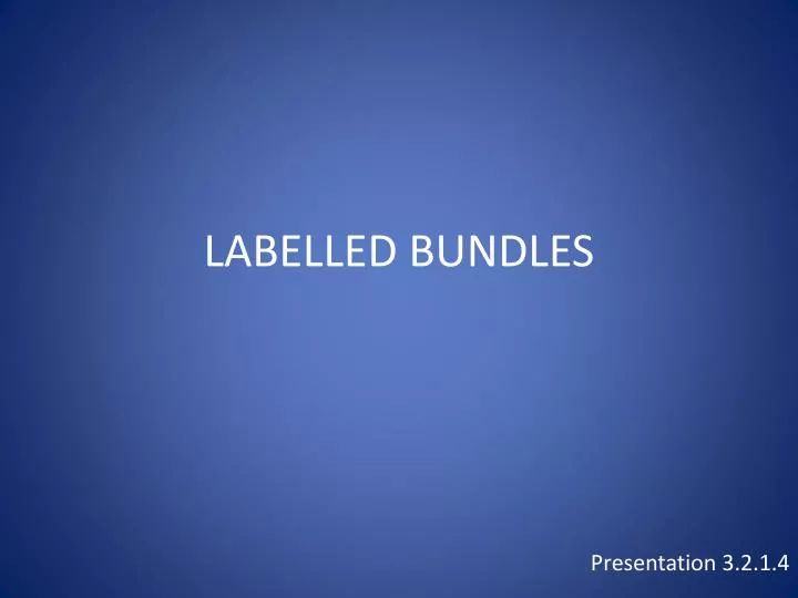 PPT - LABELLED BUNDLES PowerPoint Presentation, free download - ID:2352656