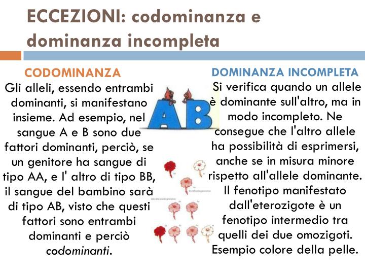 PPT - PILLOLE DI GENETICA PowerPoint Presentation - ID:2352949