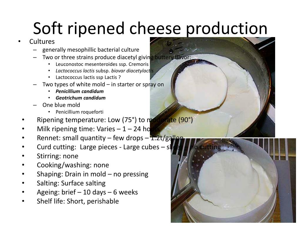 PPT - Soft ripened cheeses PowerPoint Presentation, free download - ID ... PPT - Soft ripened cheeses PowerPoint Presentation, free download - ID ...