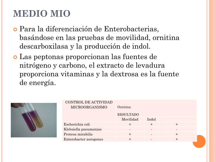 PPT - Coprocultivo PowerPoint Presentation - ID:2354257