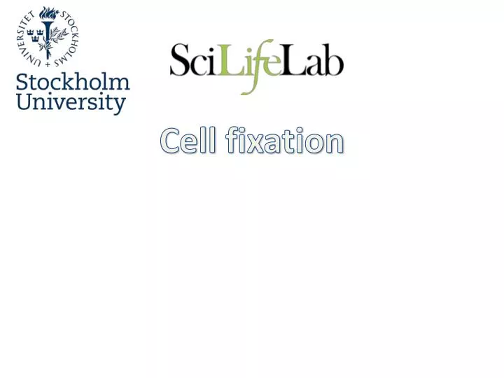 PPT - Cell fixation PowerPoint Presentation, free download - ID:2354459