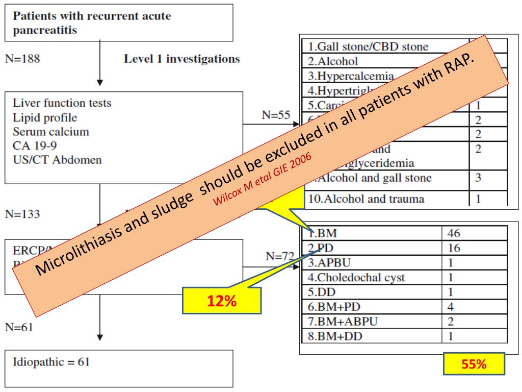 PPT - Recurrent Acute Pancreatitis with Normal LFT, USG & CECT ...