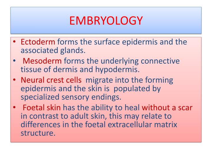PPT - SKIN : TUMOURS PowerPoint Presentation - ID:2354904