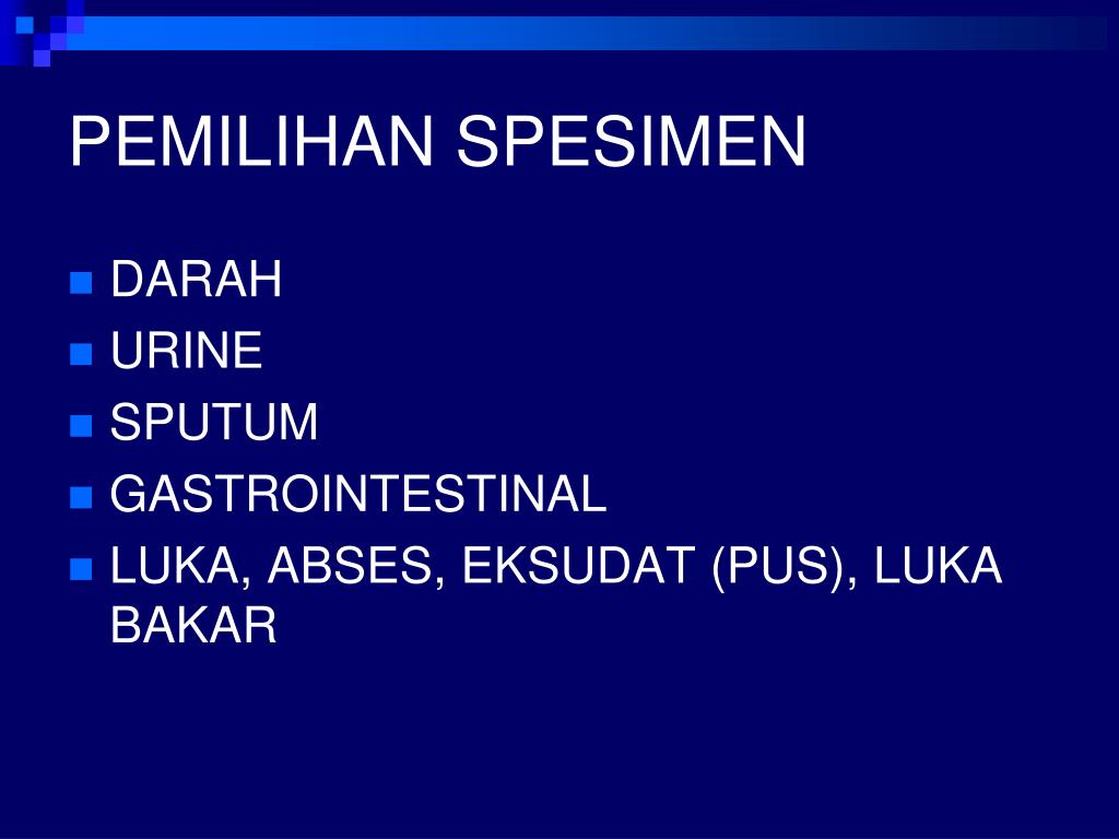 PPT - PENGELOLAAN SPESIMEN UNTUK PEMERIKSAAN MIKROBIOLOGI PowerPoint ...