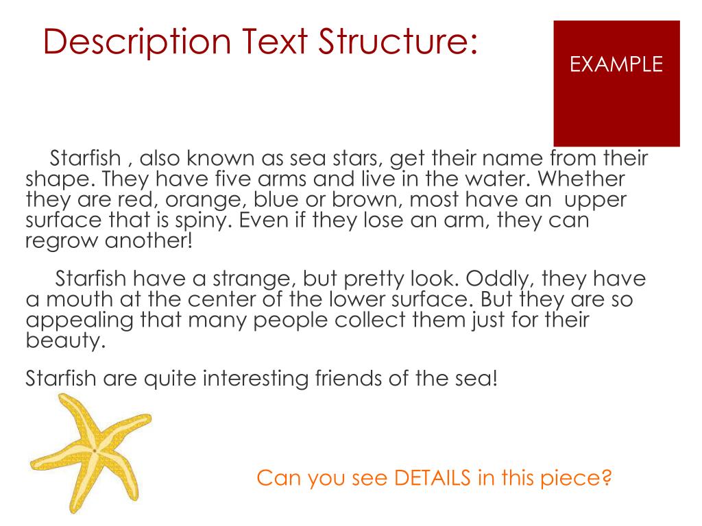 PPT Text Structure PowerPoint Presentation Free Download ID 2355227
