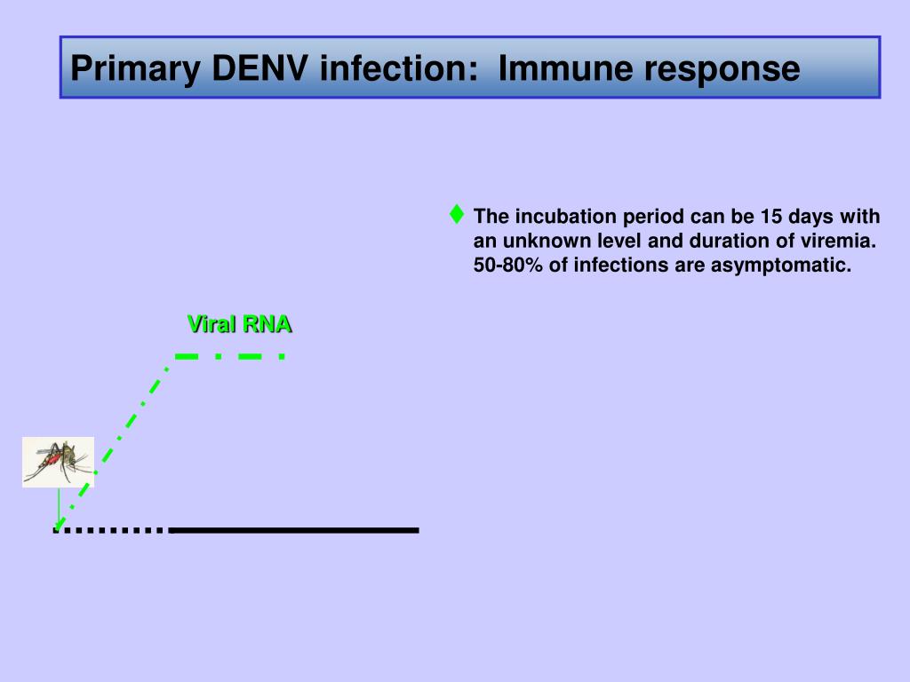 PPT - Dengue Virus and Its Risk to the U.S. Blood Supply PowerPoint ...