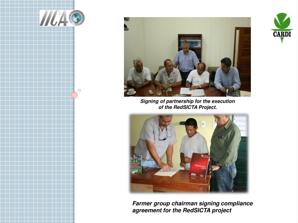 PPT - CARDI and IICA COLLABORATIVE ACTIVITIES IN BELIZE PowerPoint ...