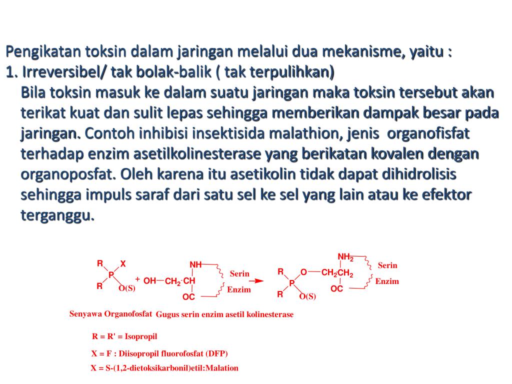 PPT - PENYIMPANAN/PENGIKATAN TOKSIN DALAM TUBUH PowerPoint Presentation ...
