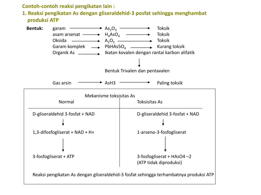 PPT - PENYIMPANAN/PENGIKATAN TOKSIN DALAM TUBUH PowerPoint Presentation ...