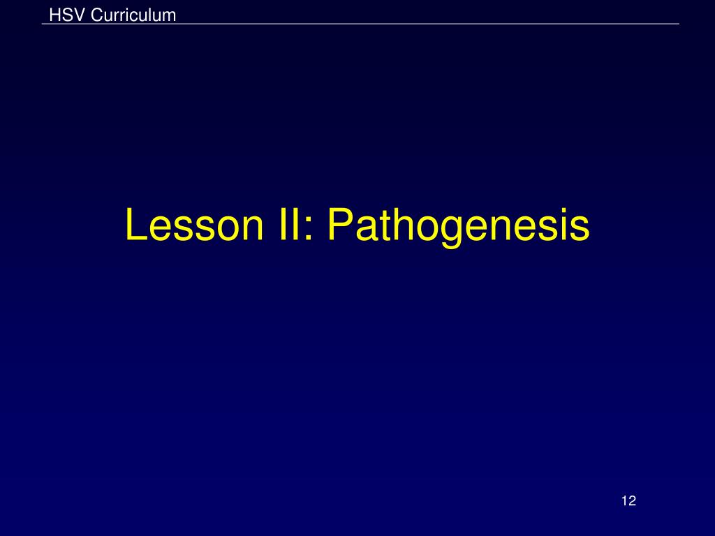 PPT - Genital and Perirectal Herpes Simplex Virus Infection PowerPoint ...