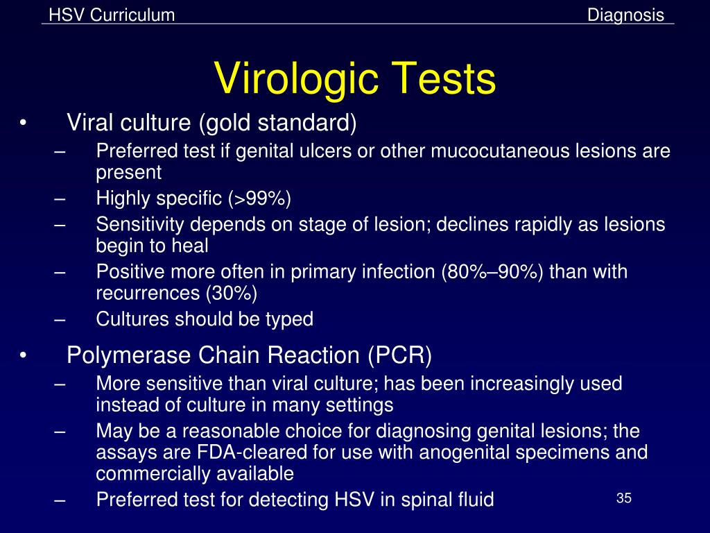 PPT - Genital and Perirectal Herpes Simplex Virus Infection PowerPoint ...