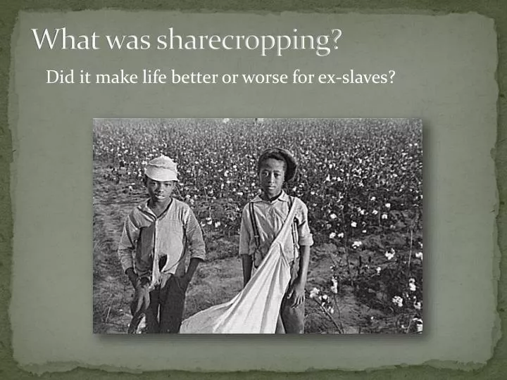 PPT - What was sharecropping? PowerPoint Presentation, free download ...