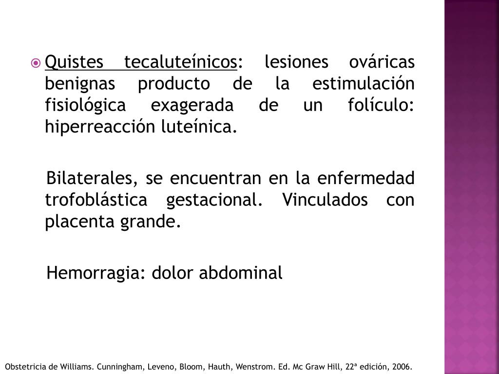 PPT - Cambios maternos durante el embarazo PowerPoint Presentation ...