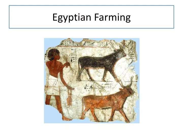 PPT - Egyptian Farming PowerPoint Presentation, free download - ID:2358400