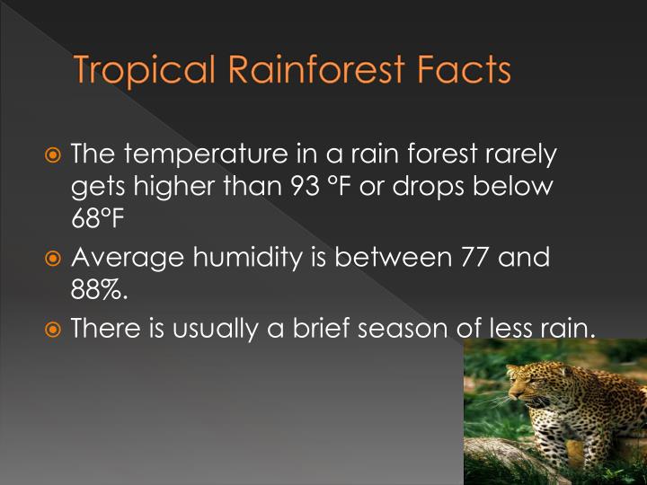PPT - Tropical Rainforest Biome PowerPoint Presentation - ID:2358597