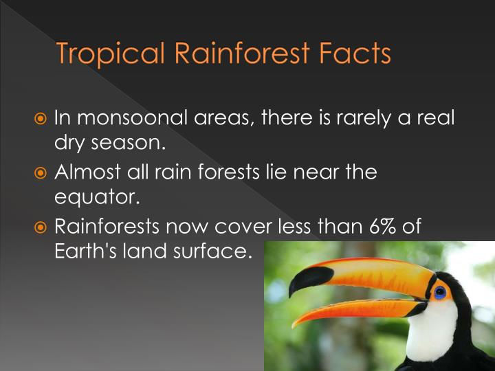 PPT - Tropical Rainforest Biome PowerPoint Presentation - ID:2358597