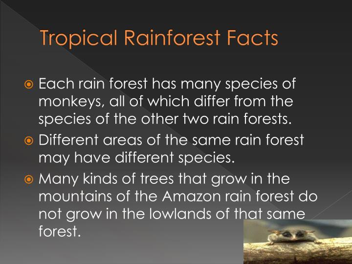 PPT - Tropical Rainforest Biome PowerPoint Presentation - ID:2358597