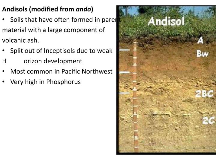 PPT - Classification of Soils PowerPoint Presentation - ID:2358639