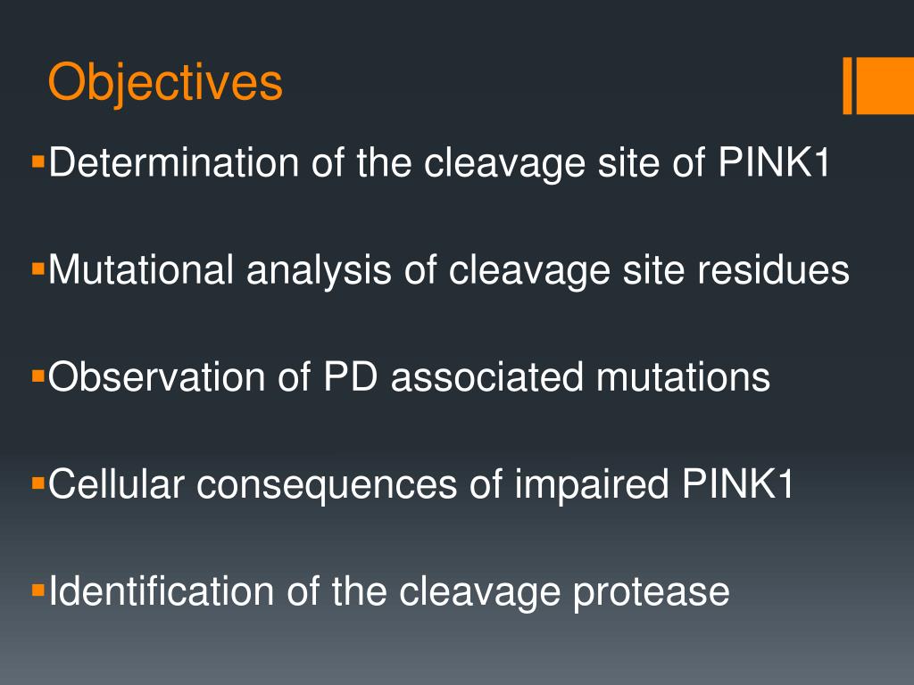 PPT - PINK1 cleavage at position A103 by the mitochondrial protease ...
