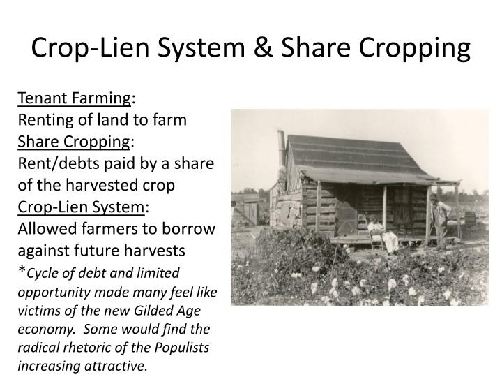 PPT - The New South (1877-1900) PowerPoint Presentation - ID:2358826