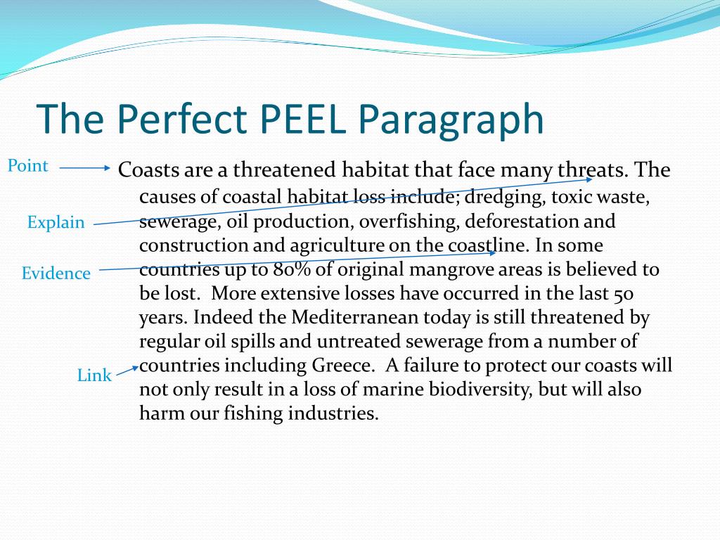 Peel Paragraph Example Display Poster Paragraph Writi - vrogue.co Peel Paragraph Example Display Poster Paragraph Writi - vrogue.co