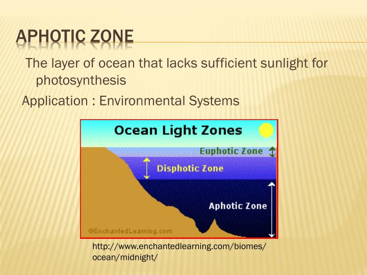 PPT - Visual vocabulary: albedo - aphotic zone PowerPoint Presentation ...