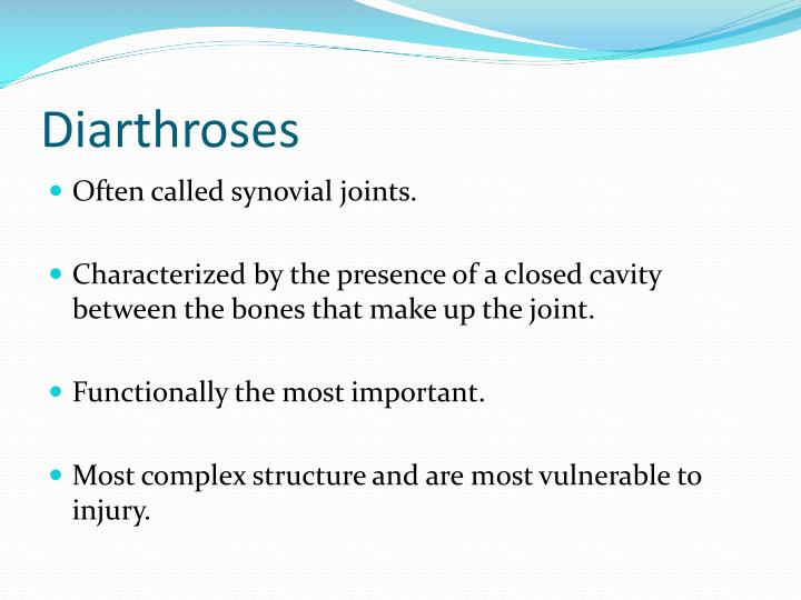 PPT - Osteology PowerPoint Presentation - ID:2360116