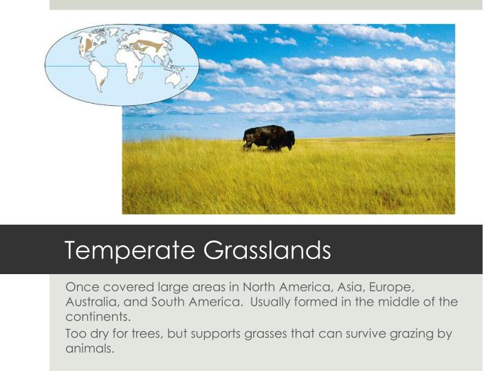 PPT - Ecosystems PowerPoint Presentation - ID:2360172