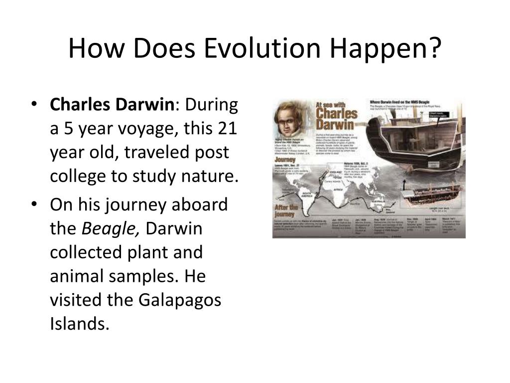 PPT - Chapter 5 and 6 Evolution of Living Things & History of Life on ...