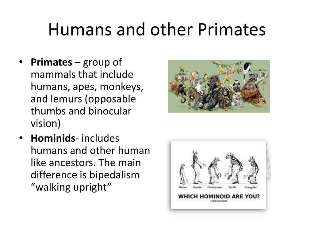 PPT - Chapter 5 and 6 Evolution of Living Things & History of Life on ...