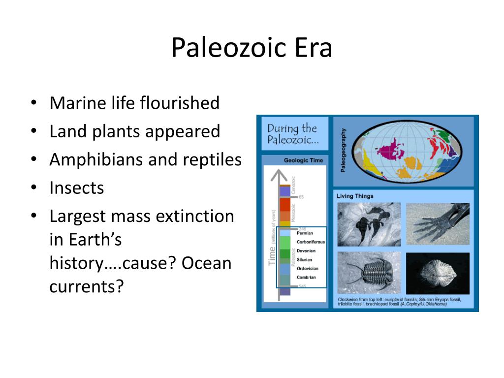 PPT - Chapter 5 and 6 Evolution of Living Things & History of Life on ...