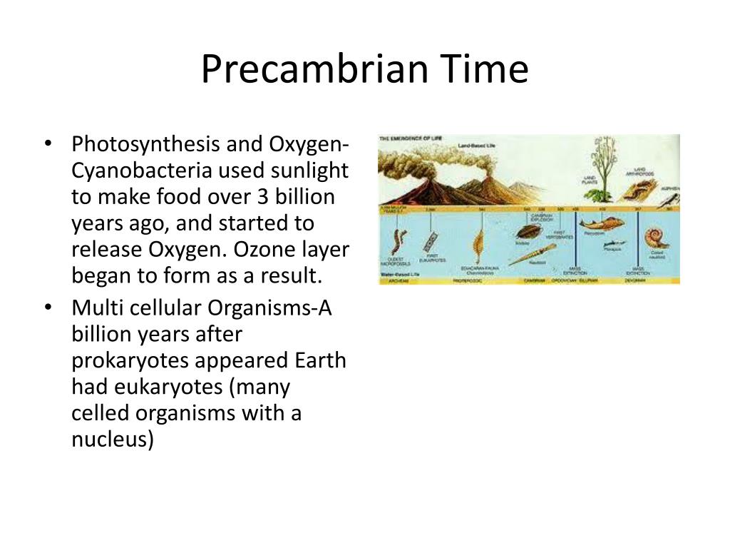 PPT - Chapter 5 and 6 Evolution of Living Things & History of Life on ...