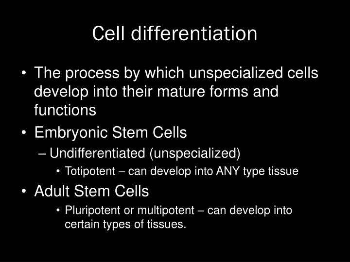 PPT - Cell Differentiation PowerPoint Presentation - ID:2360360