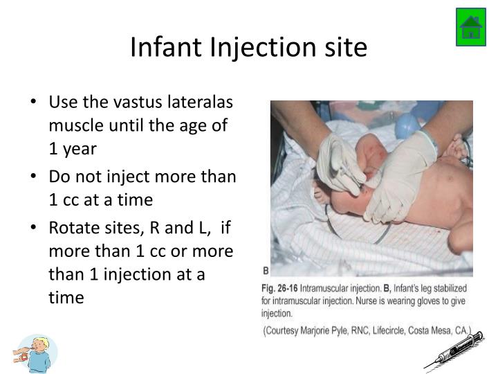 PPT - Principles of Medication Administration PowerPoint Presentation ...