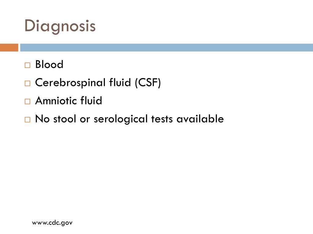 PPT - Listeria monocytogenes and listeriosis PowerPoint Presentation ...