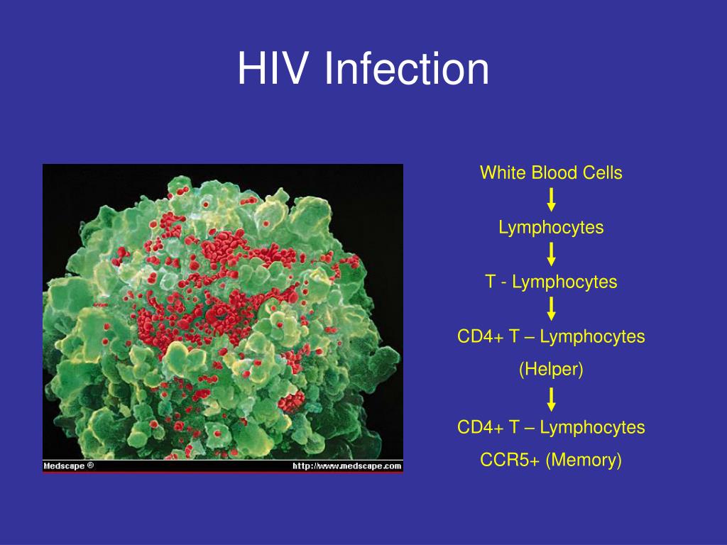 PPT - HIV / AIDS & Opportunistic Infections PowerPoint Presentation ...