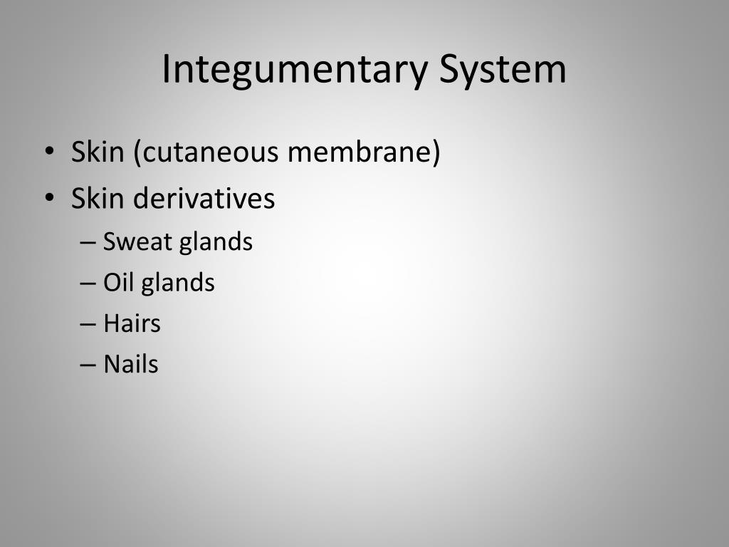 PPT - Skin and Body Membranes PowerPoint Presentation, free download ...