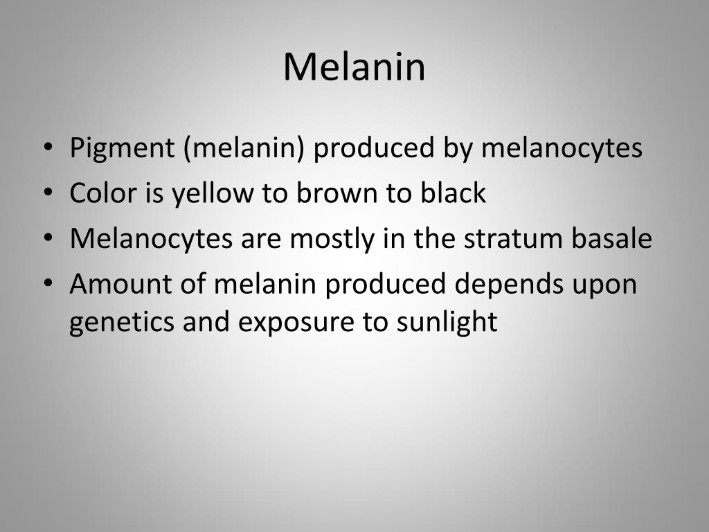 PPT - Skin and Body Membranes PowerPoint Presentation, free download ...