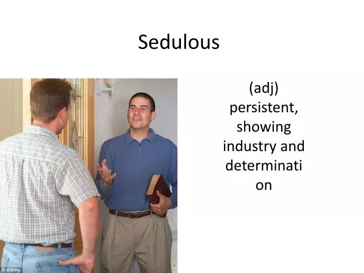 PPT - Sedulous PowerPoint Presentation, free download - ID:2360984